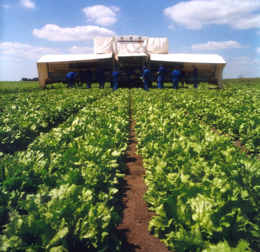 Importance of British Growing - British Growers Association