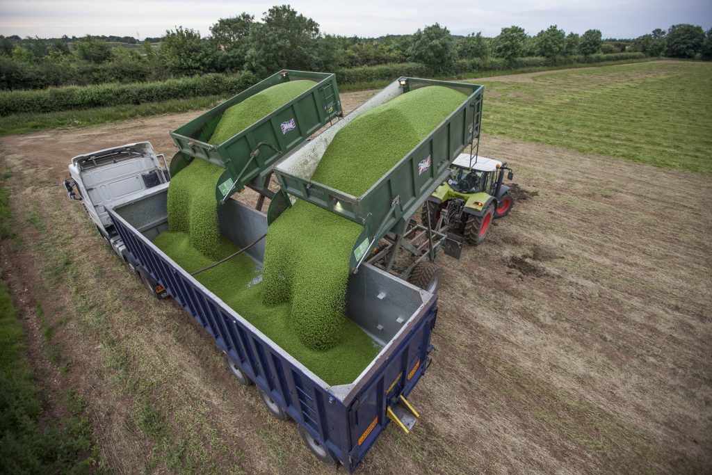 UK Vining Pea and Bean Industry Conference 2019 - Press Release ...
