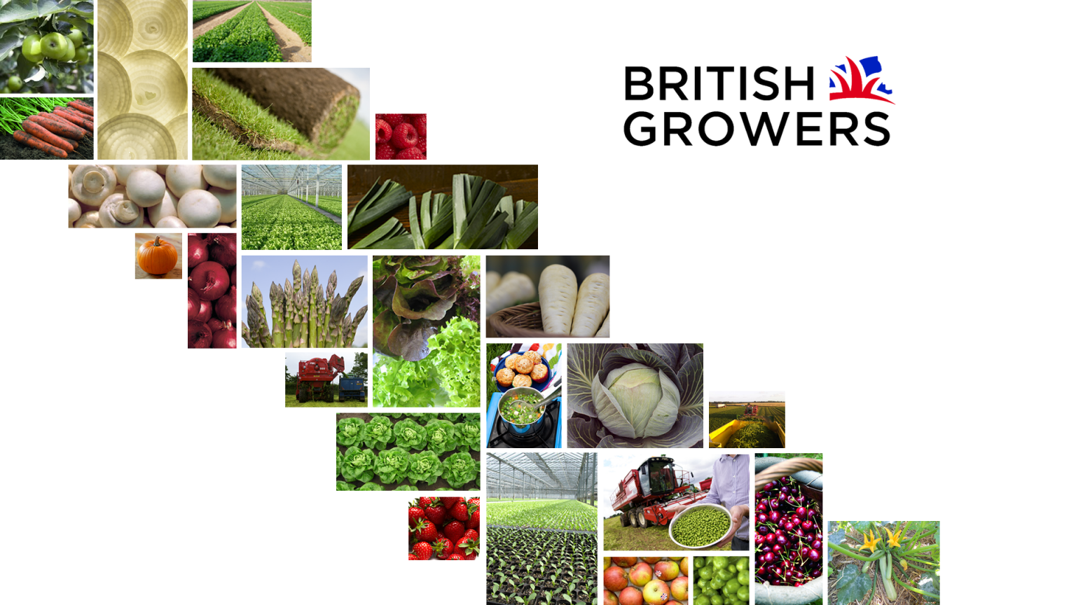 News - British Growers Association